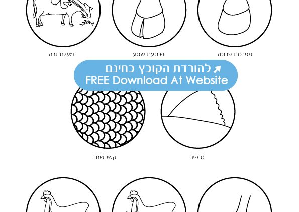 Parashat Shemini Coloring page – פרשת שמיני – יצירה יהודית